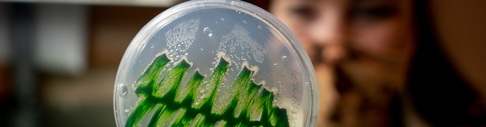 Team - Science Influencers