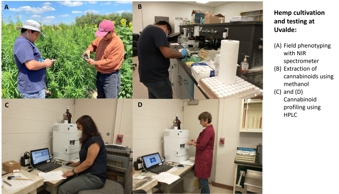 Agro-Ecology and Cropping Systems